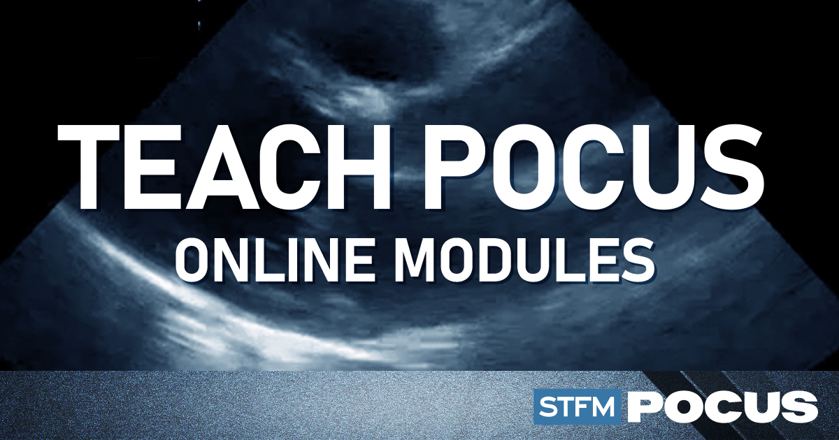 Society of Teachers of Family Medicine (STFM)